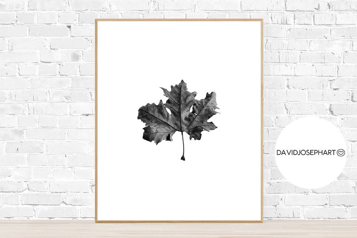 Maple Leaf Print, Leaf Wall Art, Botanical Print, Canadian Print, Black ...