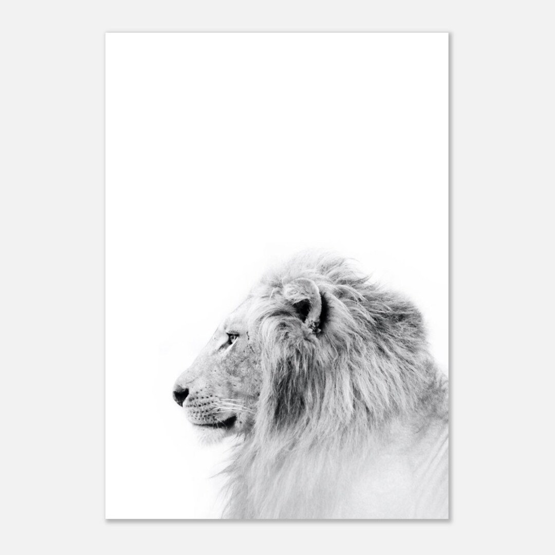 Lion Print Lion Mane Print Lion Wall Art Lion Photo King of the Jungle ...