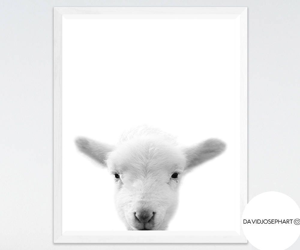 Sheep Print Baby Sheep Poster Nursery Wall Art Scandinavian - Etsy