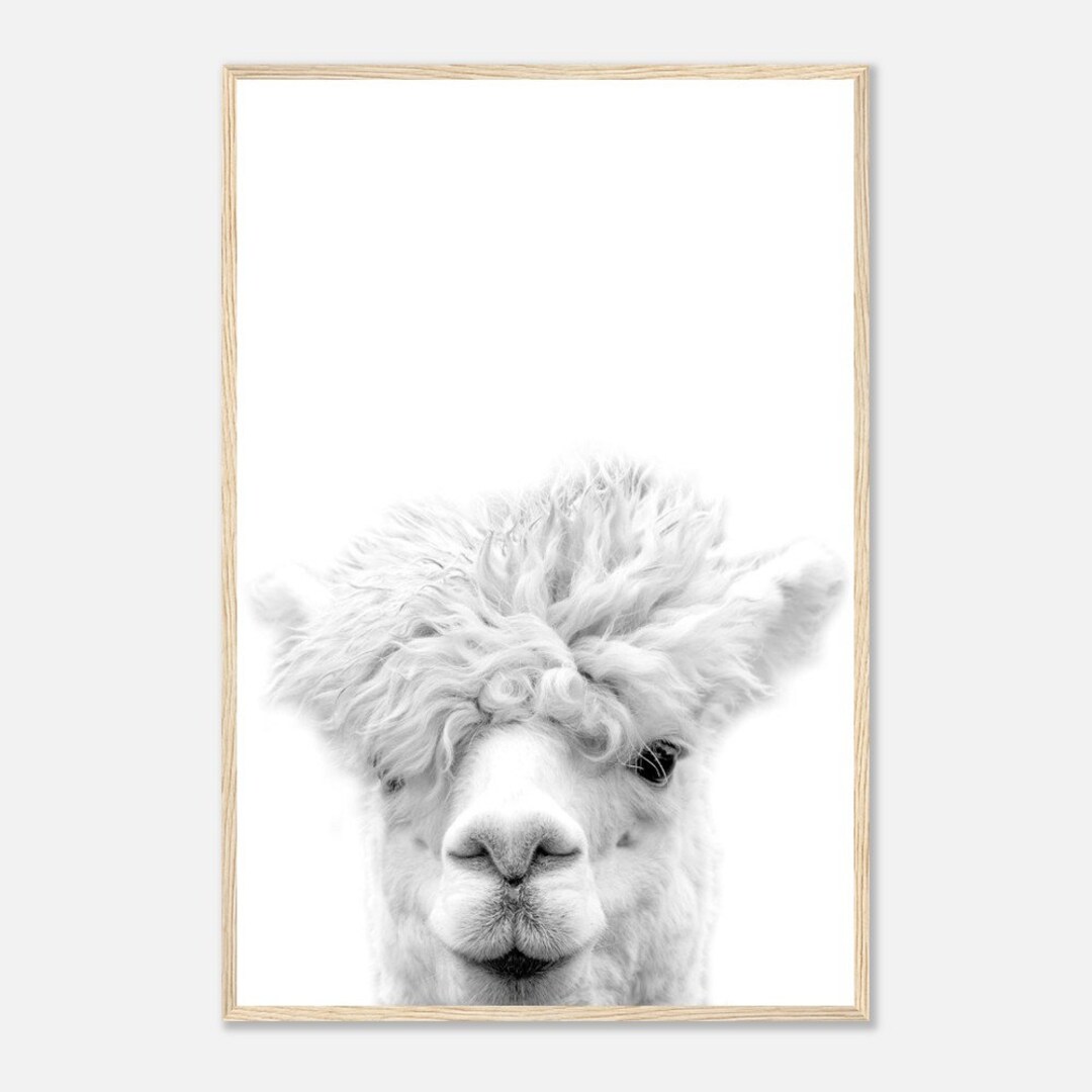 Alpaca FRAMED Print Alpaca Photo Animal Print, Nursery Print, Woodlands ...