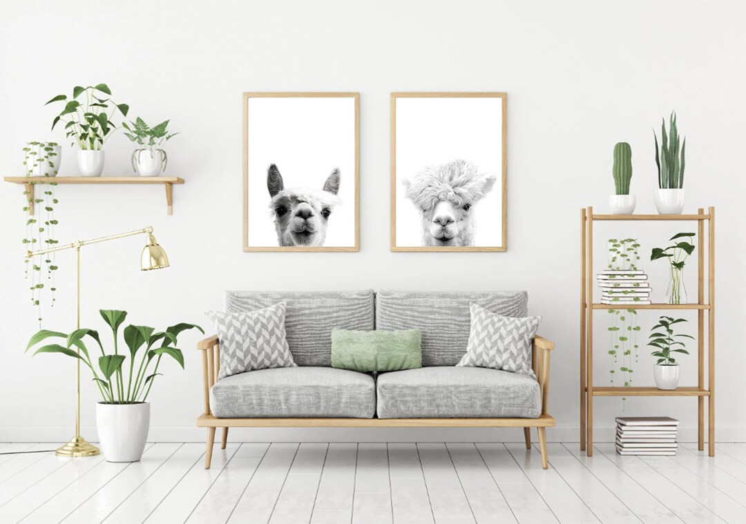 Set of 2 FRAMED Alpaca Print Llama Wall Art Minimalist Alpaca Decor ...