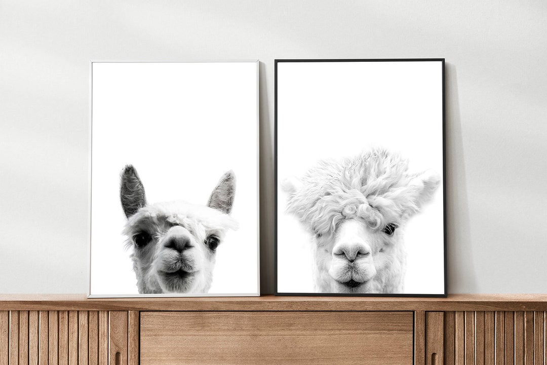Set of 2 Alpaca UNFRAMED Poster Llama Nursery Wall Art Minimalist ...