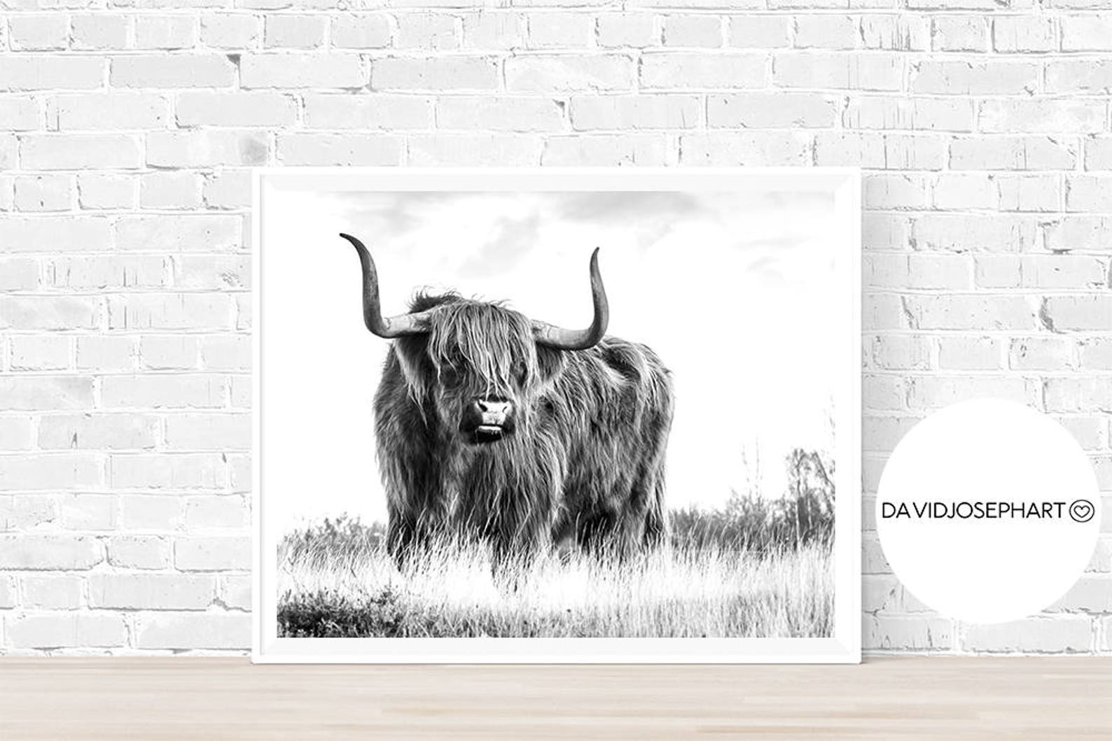 Highland Kuh Druck, Bauernhof Tier Wandkunst, schwarz und weiß, Tier Druck, Kuh Fotografie ...