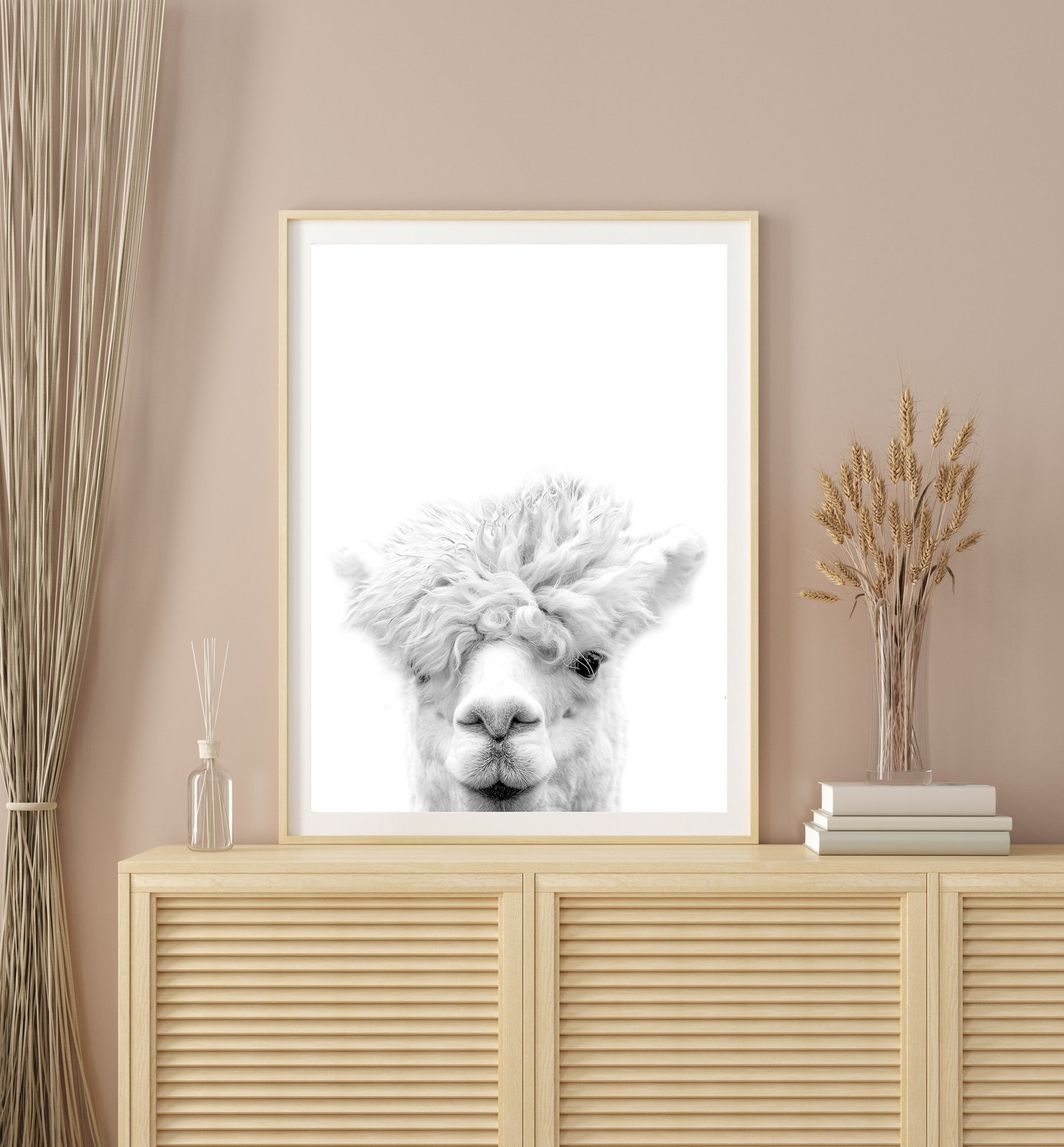 Alpaca Print Alpaca Photo Llama Print Animal Photo - Etsy