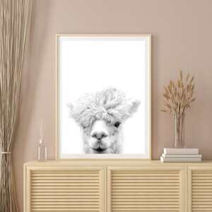 Alpaca Print, Alpaca Photo, Llama Print, Animal Photo, Woodlands ...