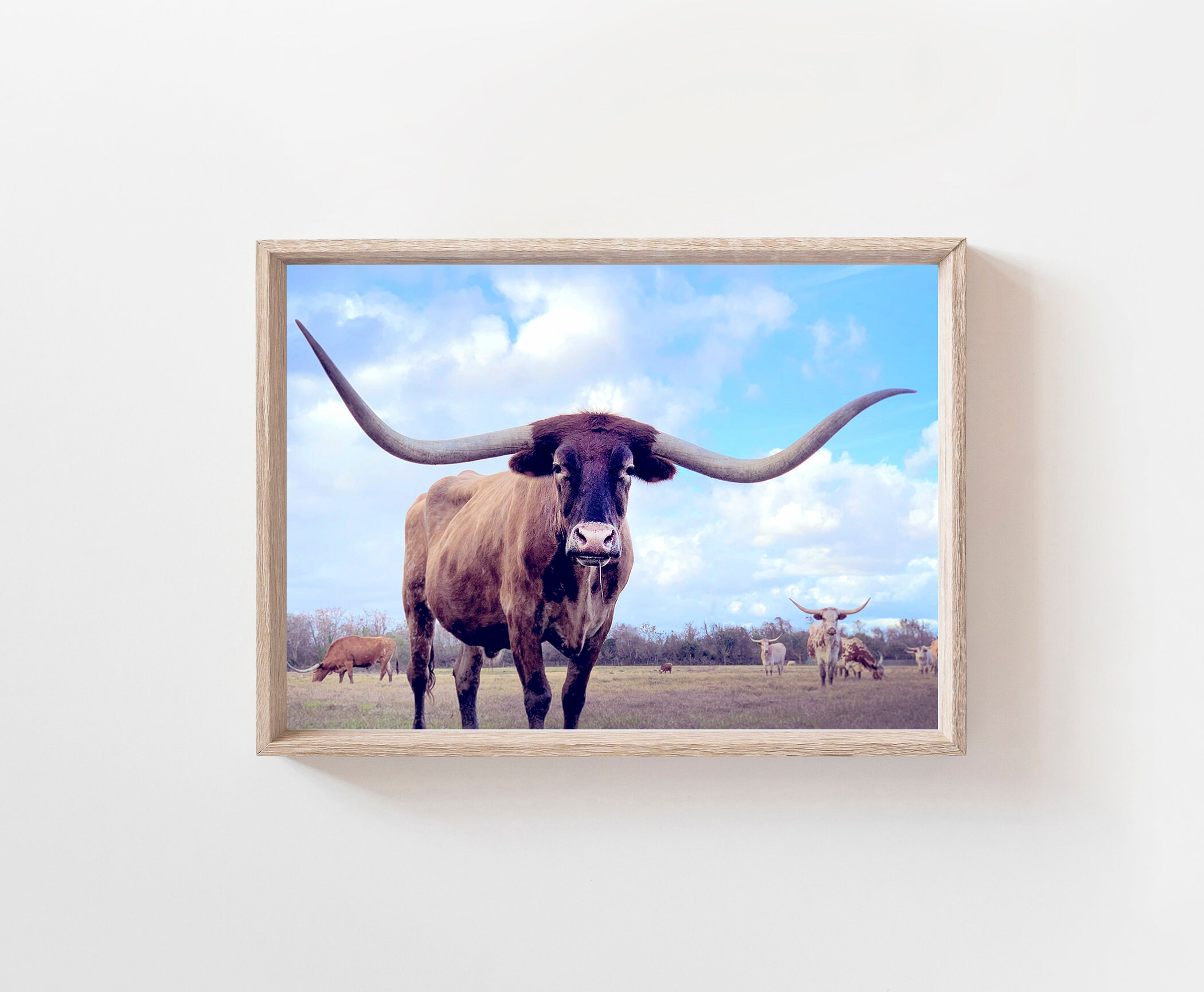 Longhorn Cow Print, Western Decor, Country Decor, Cow Picture, Longhorn ...