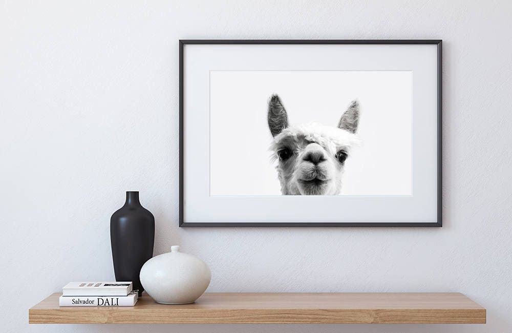 Alpaca Print Alpaca Photo Animal Print Nursery Print | Etsy