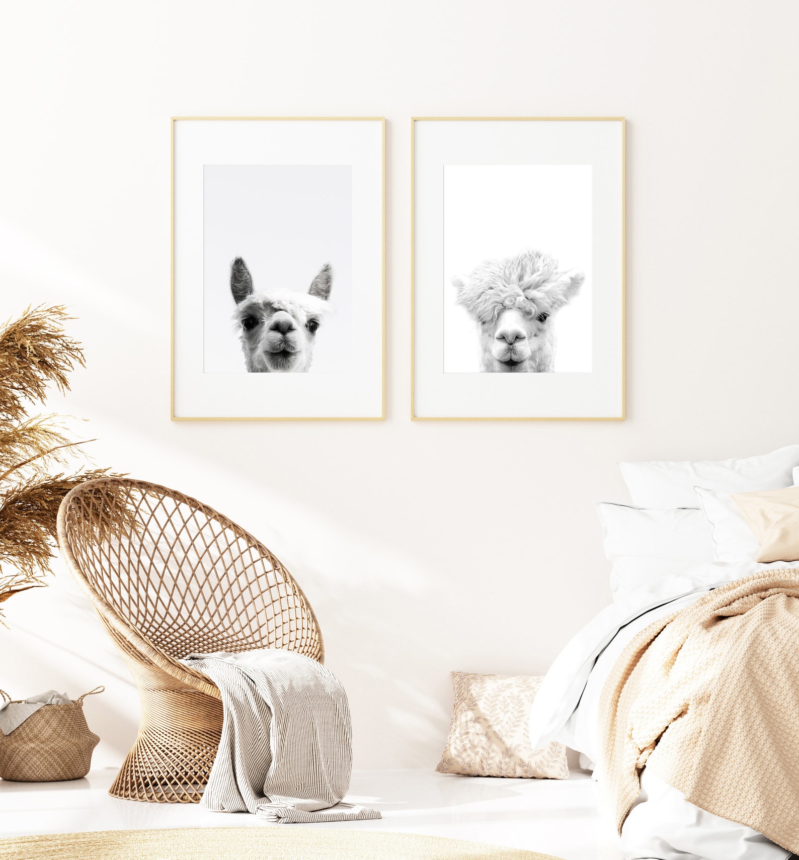 Alpaca Print Alpaca Photo Llama Print Animal Photo - Etsy