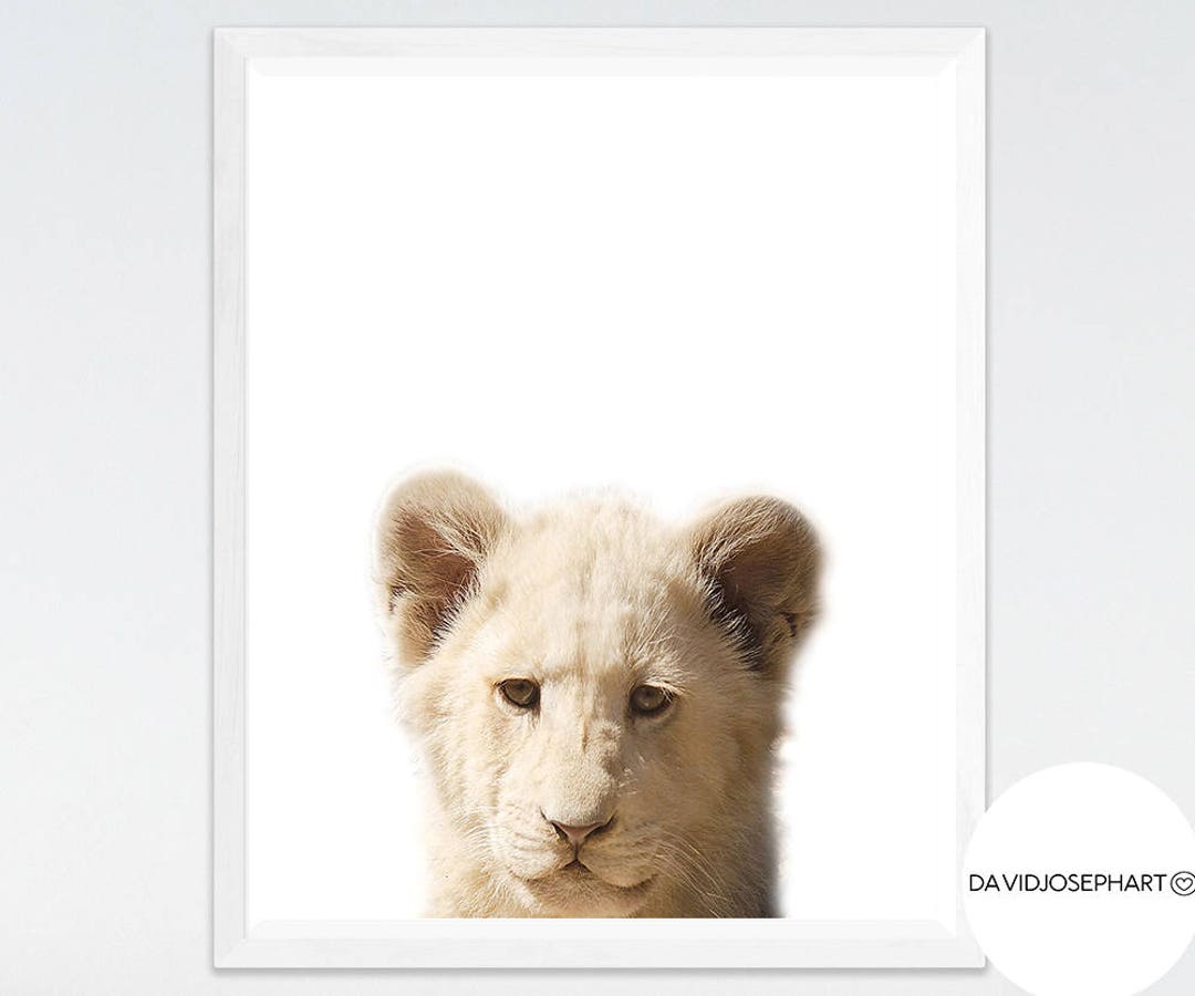 Lion Cub Print, Lion Cub Poster, Nursery Wall Art, Baby Animal, Cute ...