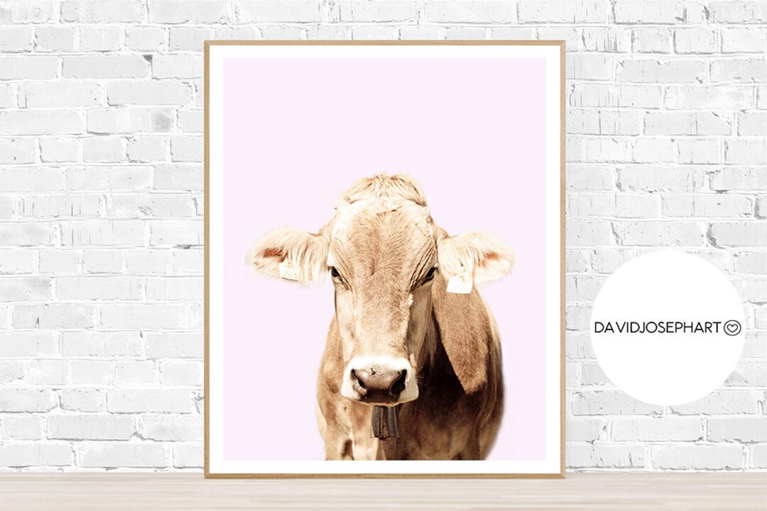 Cow Print, Cow Photography, Modern Minimalist, Digital Download, Farm ...