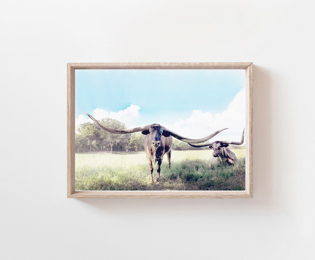 Longhorn Cow Print, Western Decor, Country Decor, Cow Picture, Longhorn ...
