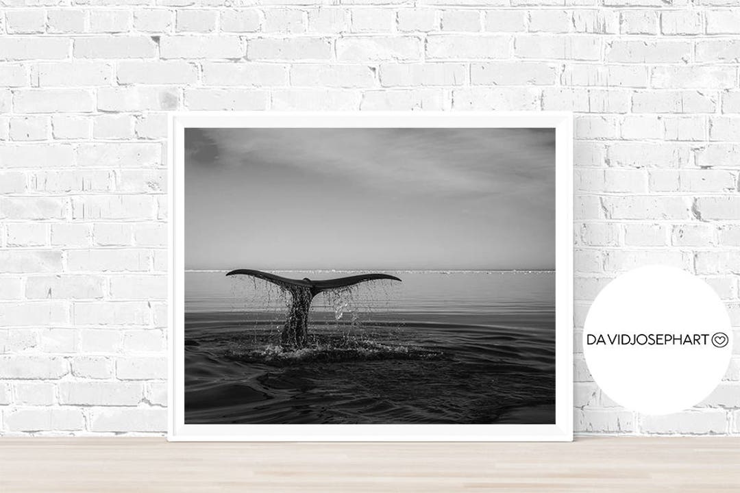 Whale Print, Whale Fin Print, Ocean Print, Animal Print, Ocean ...