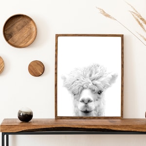 Alpaca Print, Alpaca Photo, Llama Print, Animal Photo, Woodlands ...