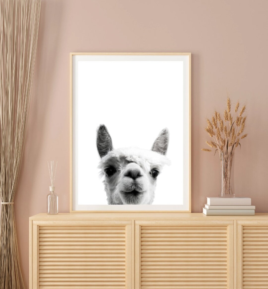 Alpaca UNFRAMED Print Alpaca Photo Animal Print, Nursery Print ...