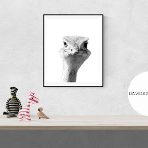 Ostrich Print, Ostrich Wall Art, Ostrich Poster, Ostrich Photography ...