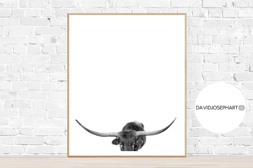 Longhorn Print Cow Print Texas Cow Print Animal Print - Etsy