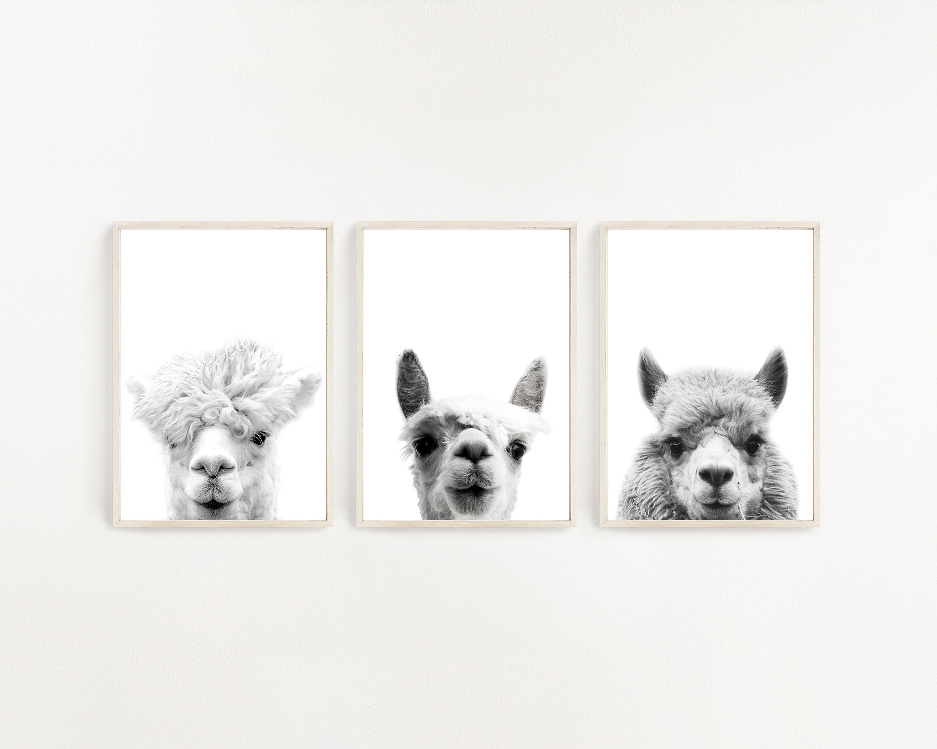 Set of 3 Alpacas, Alpaca Print, Nursery Wall Art, Digital Download ...