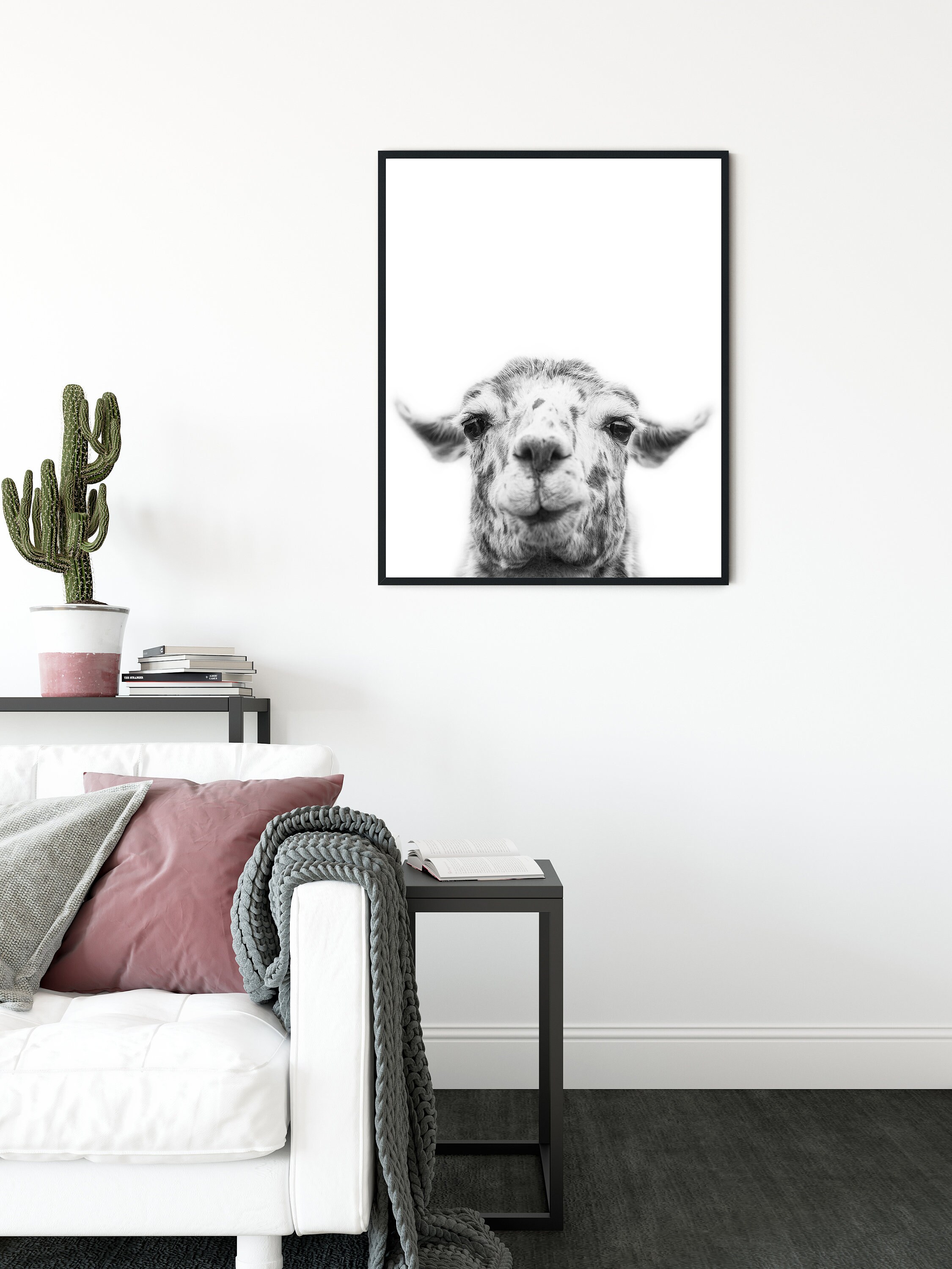 Alpaca Print Alpaca Photo Llama Photo Nursery Print Llama - Etsy