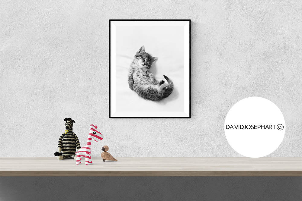 Kitten Print Nursery Print Photography Wall Art Digital - Etsy
