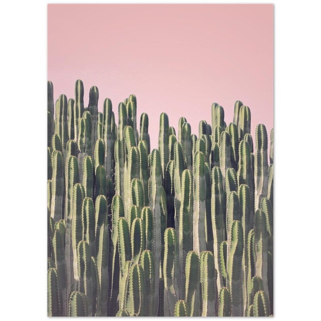Pastel Cactus Poster, Succulent Wall Art, Cacti Print, Southwestern ...