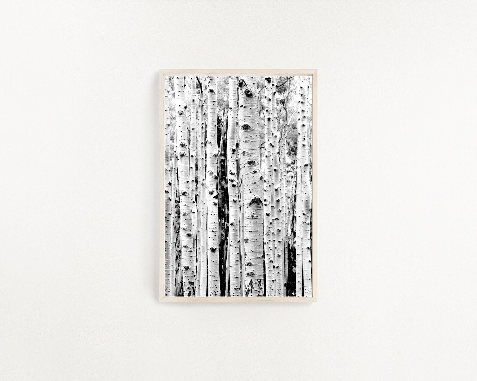 Birch Tree Poster Tree Photo Tree Wall Art Forest Print | Etsy