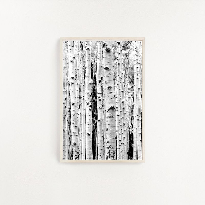 Birch Decor - Etsy