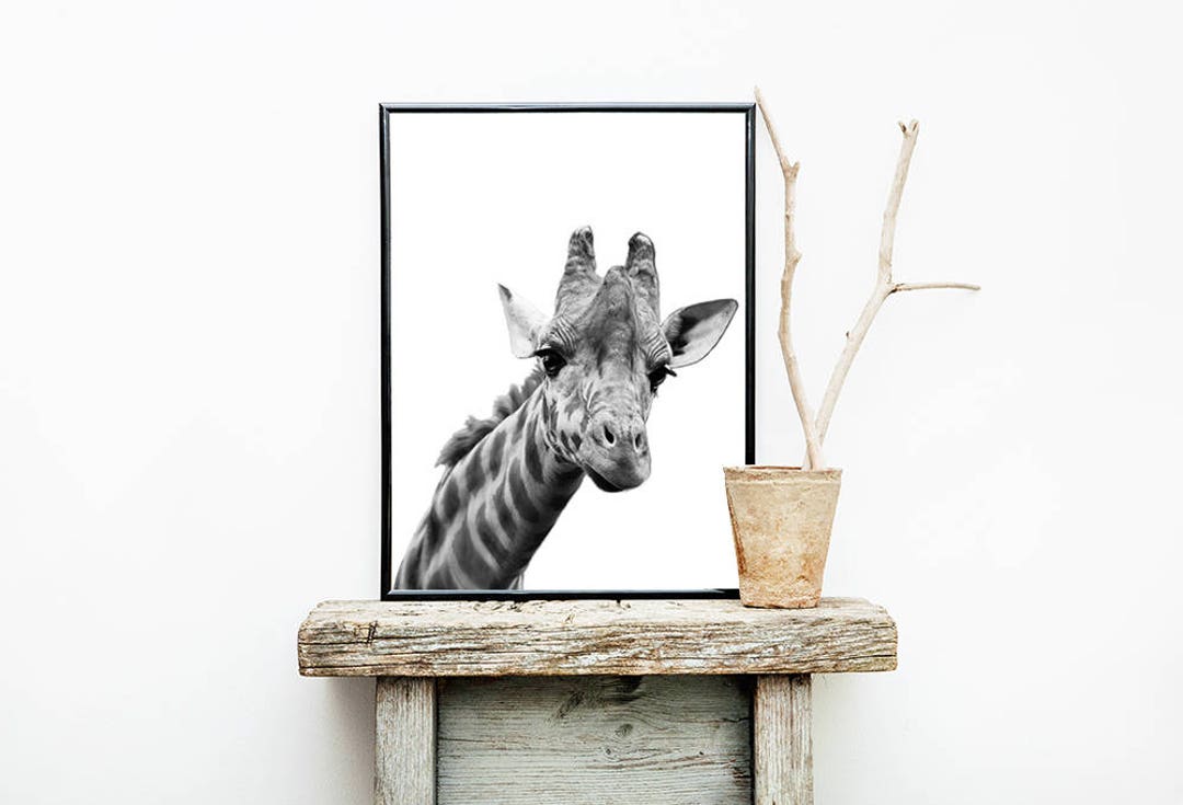 Giraffe Print, Giraffe Wall Art, Giraffe Poster, Animal Print, Black ...