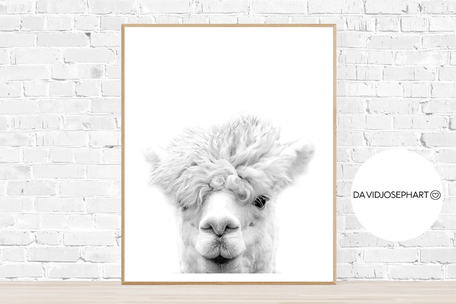 Alpaca Print, Alpaca Photo, Llama Print, Animal Photo, Woodlands ...