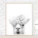 Alpaca Print, Alpaca Photo, Llama Print, Animal Photo, Woodlands ...