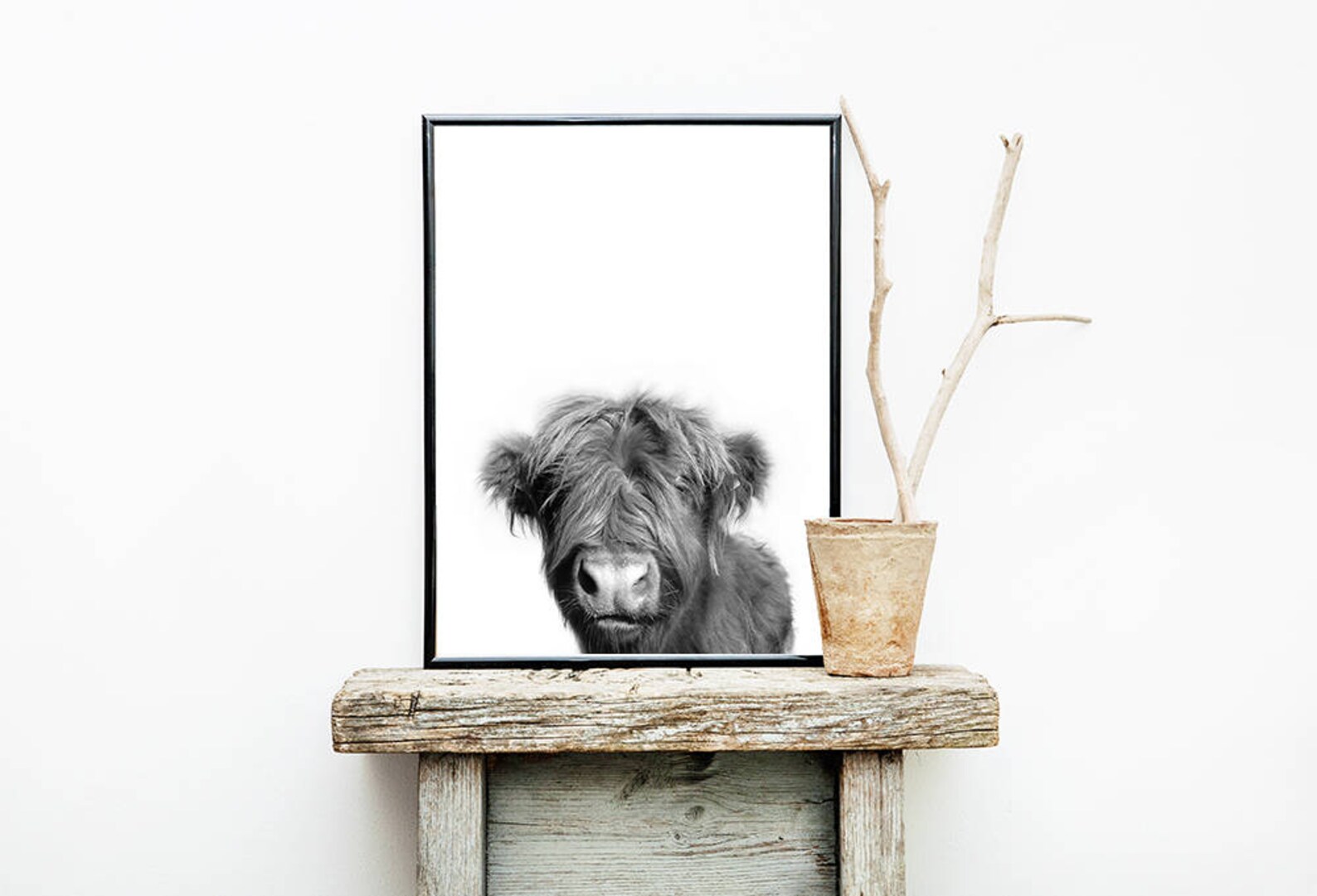 Highland Cow Print, Highland Calf Poster, Scottish Cow Decor, Animal ...