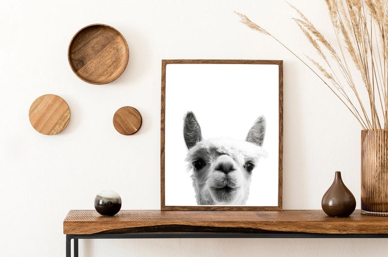 Alpaca UNFRAMED Print Alpaca Photo Animal Print, Nursery Print ...