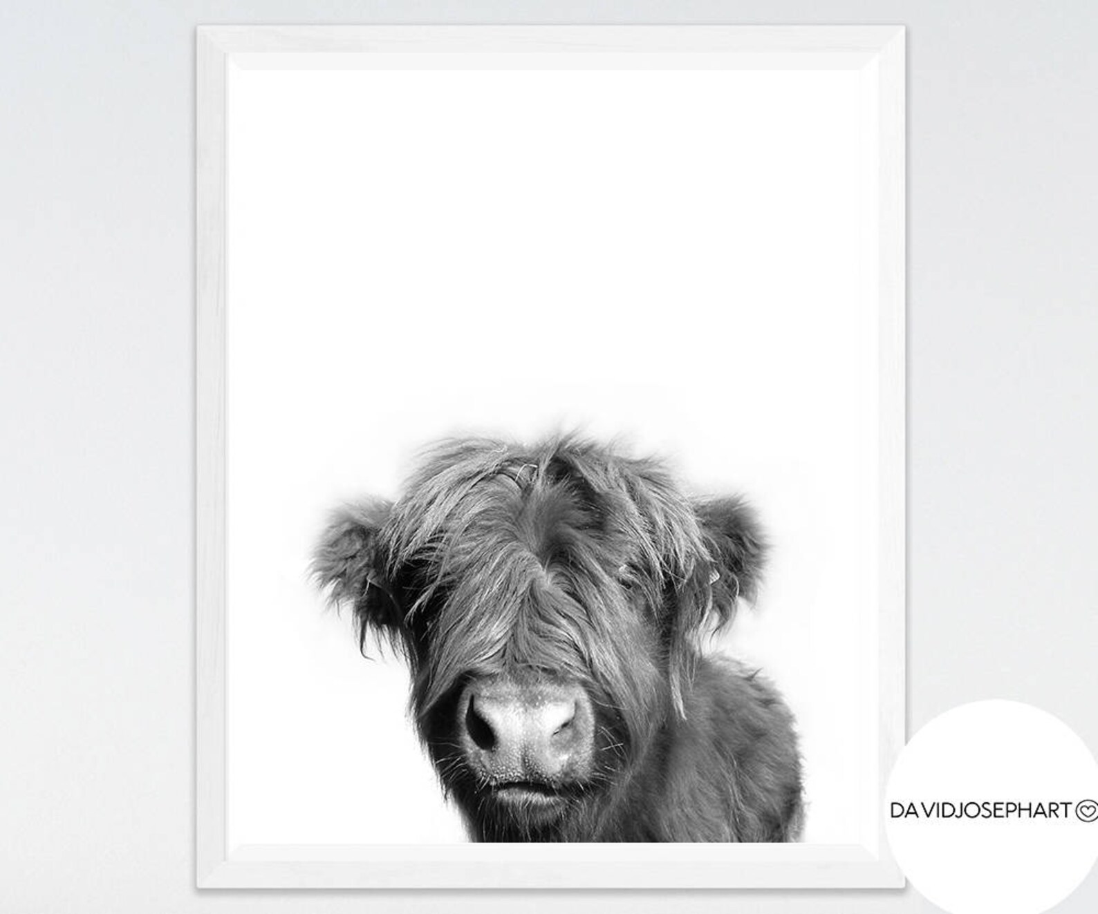 Highland Cow Print, Highland Calf Poster, Scottish Cow Decor, Animal ...