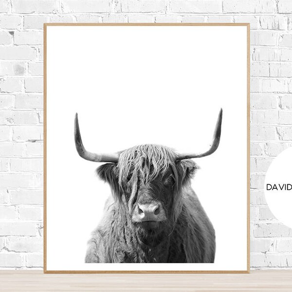 Black and White Bull Art - Etsy