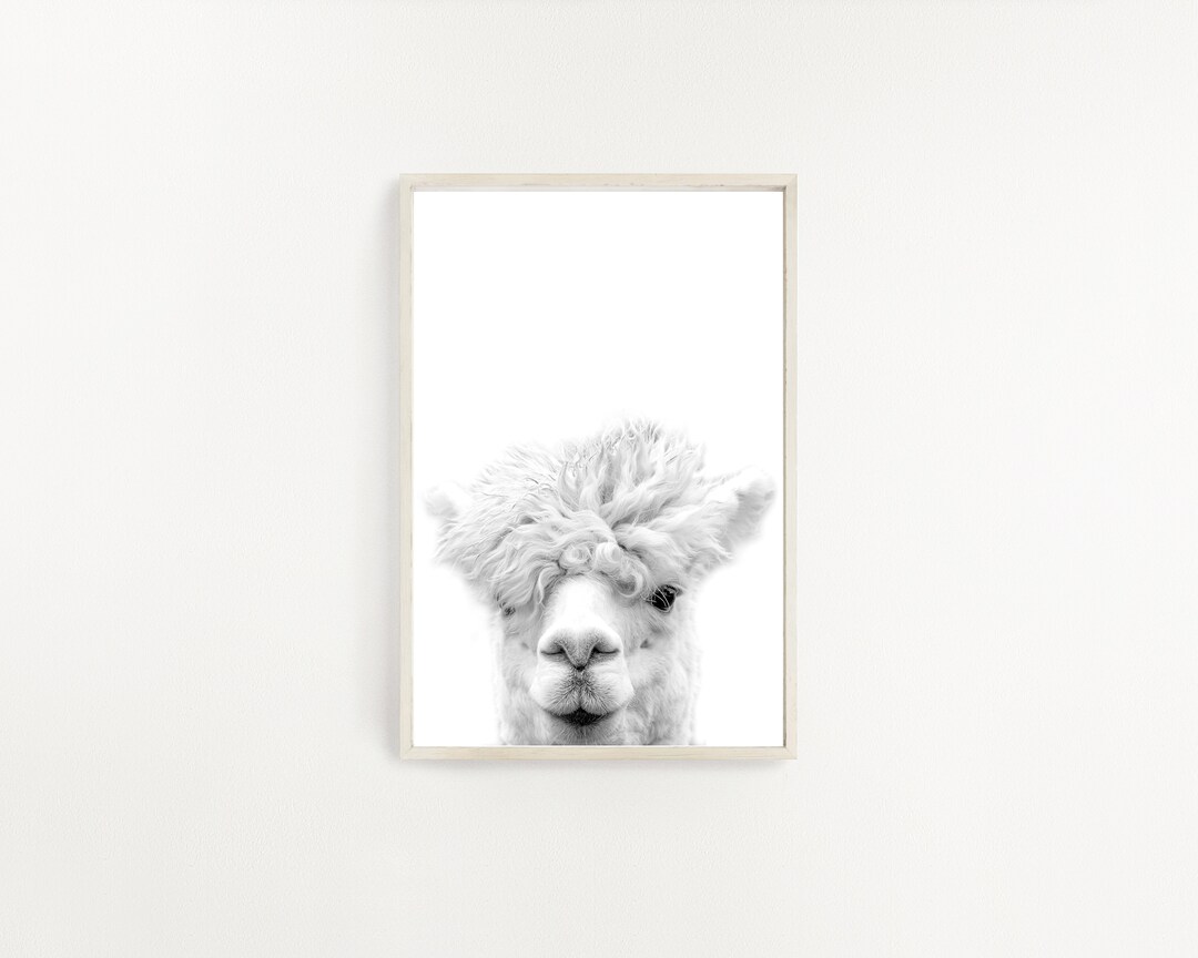 Alpaca Print, Alpaca Photo, Llama Print, Animal Photo, Woodlands ...