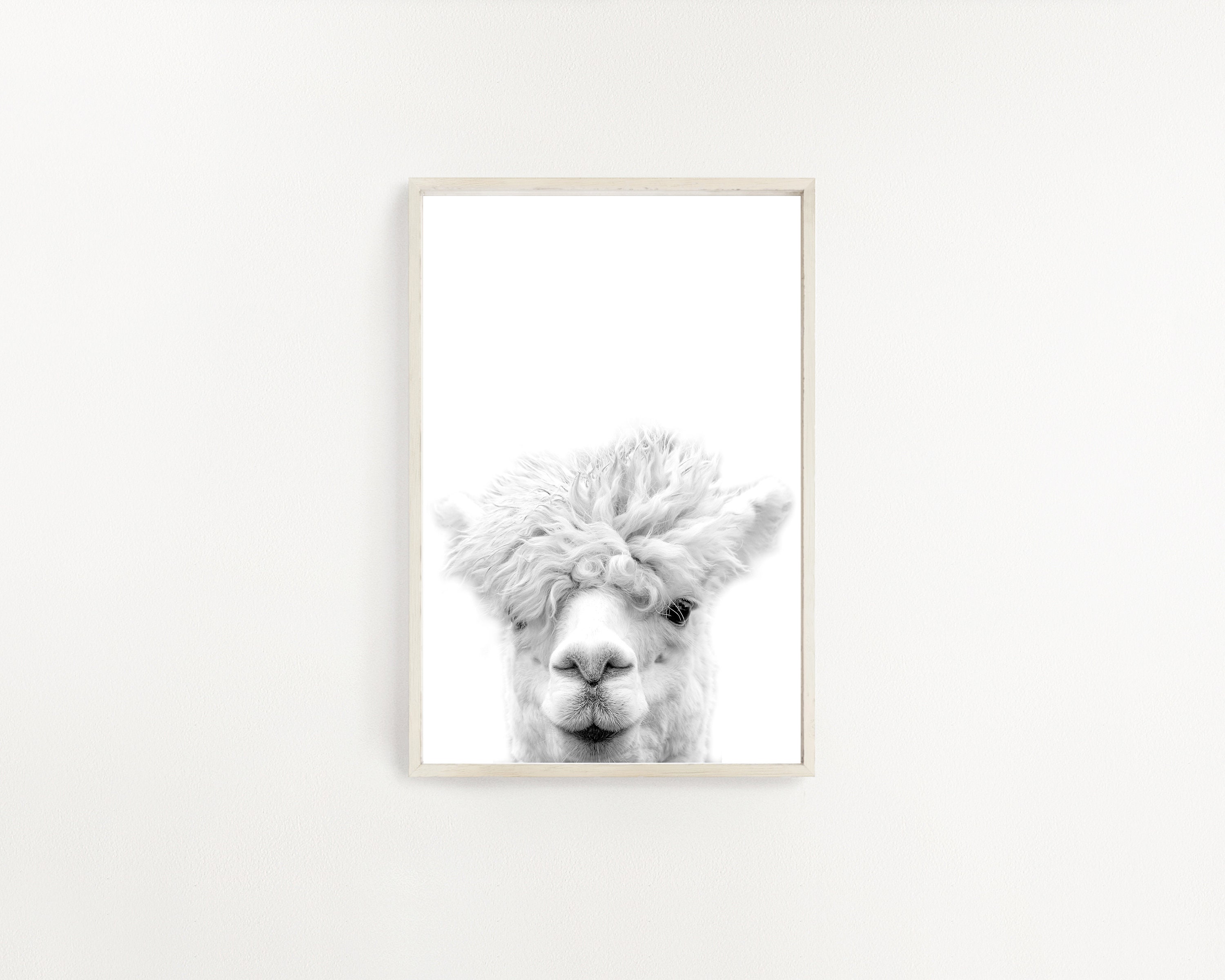 Alpaca Print, Alpaca Photo, Llama Print, Animal Photo, Woodlands ...