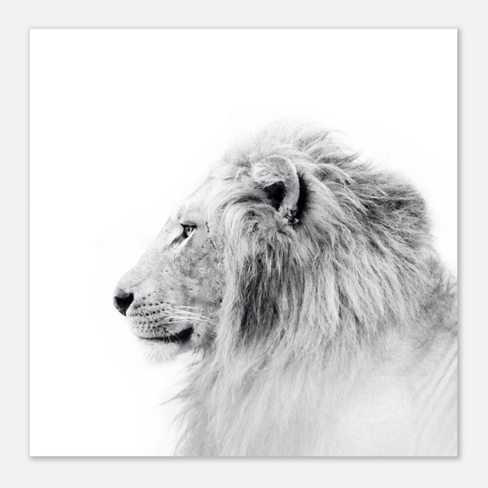 Lion Print Lion Mane Print Lion Wall Art Lion Photo King of the Jungle ...