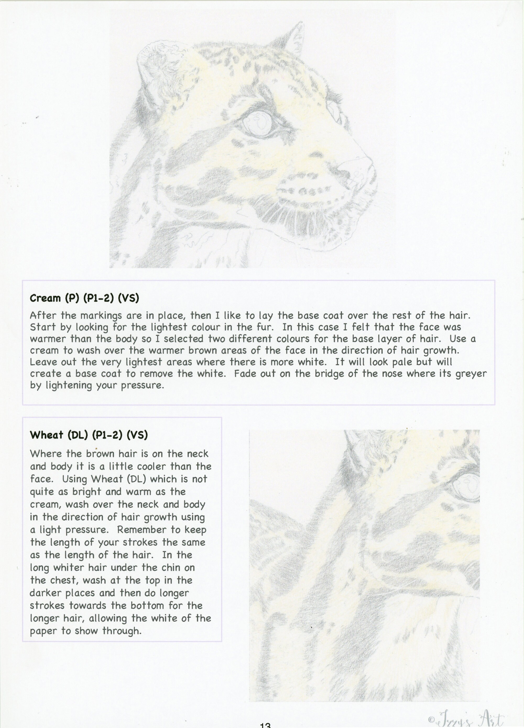 Learn to Draw A Clouded Leopard in Coloured Pencils Digital - Etsy