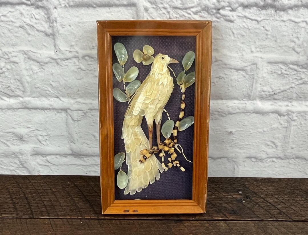 Vintage Seashell Art Peacock Bird Wall Art Hanging Wood Framed Made in ...