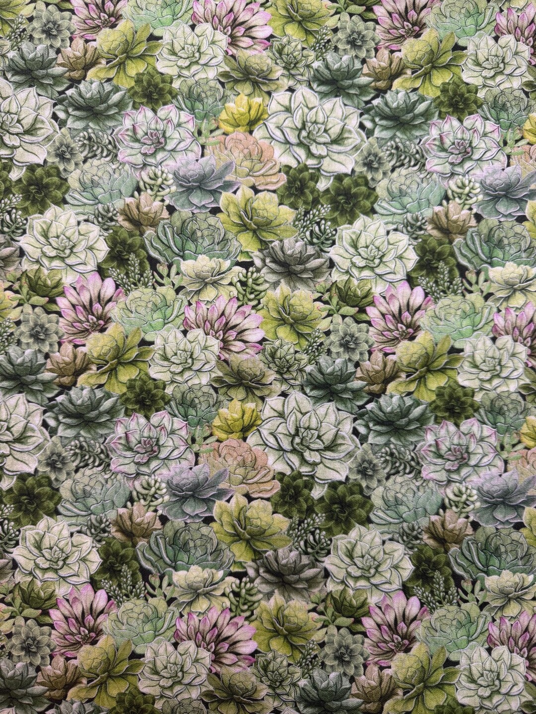 Fat Quarter | Succulents Houseplants Cotton Fabric | Burros Tail ...