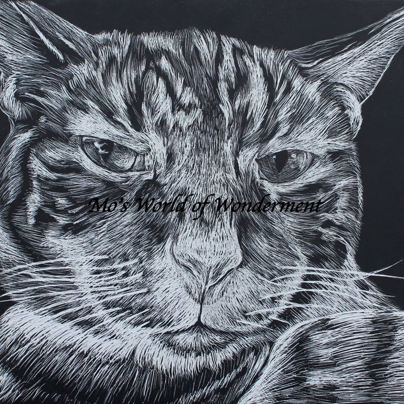 Scratchboard Art - Etsy