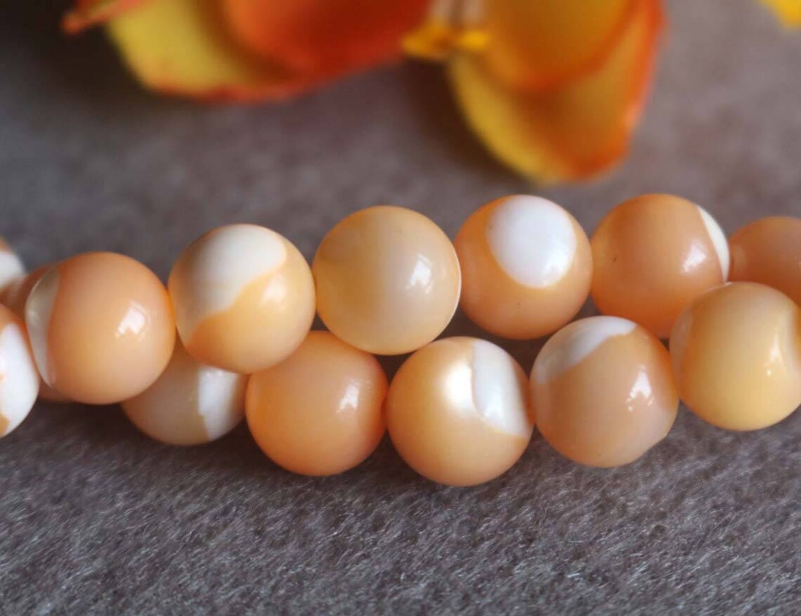 Natural Round Shell Beads 6mm 8mm Natural Yellow Shell - Etsy