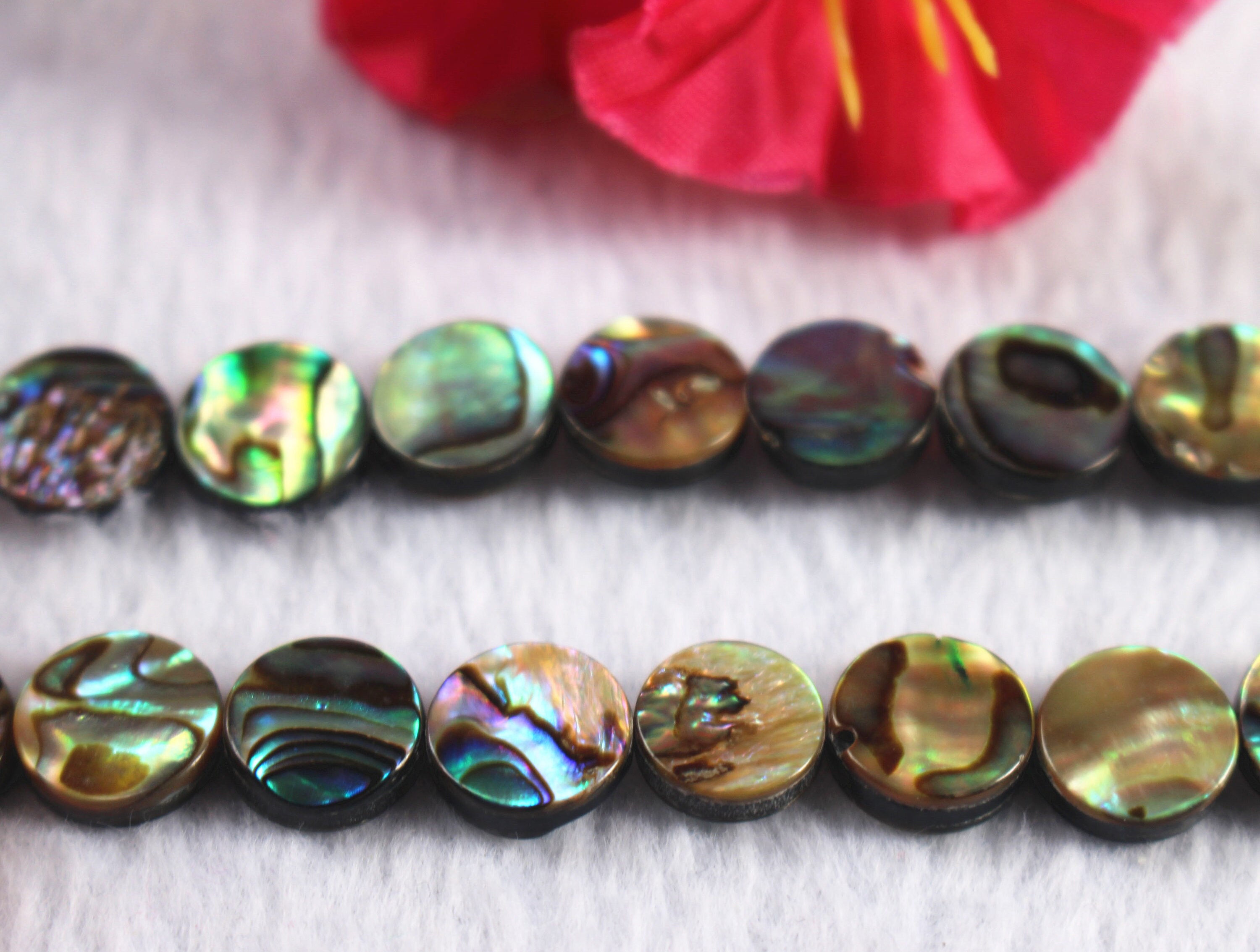 Natural Abalone shell coin Beads 10mm 12mm 14mm 16mm 18mm | Etsy