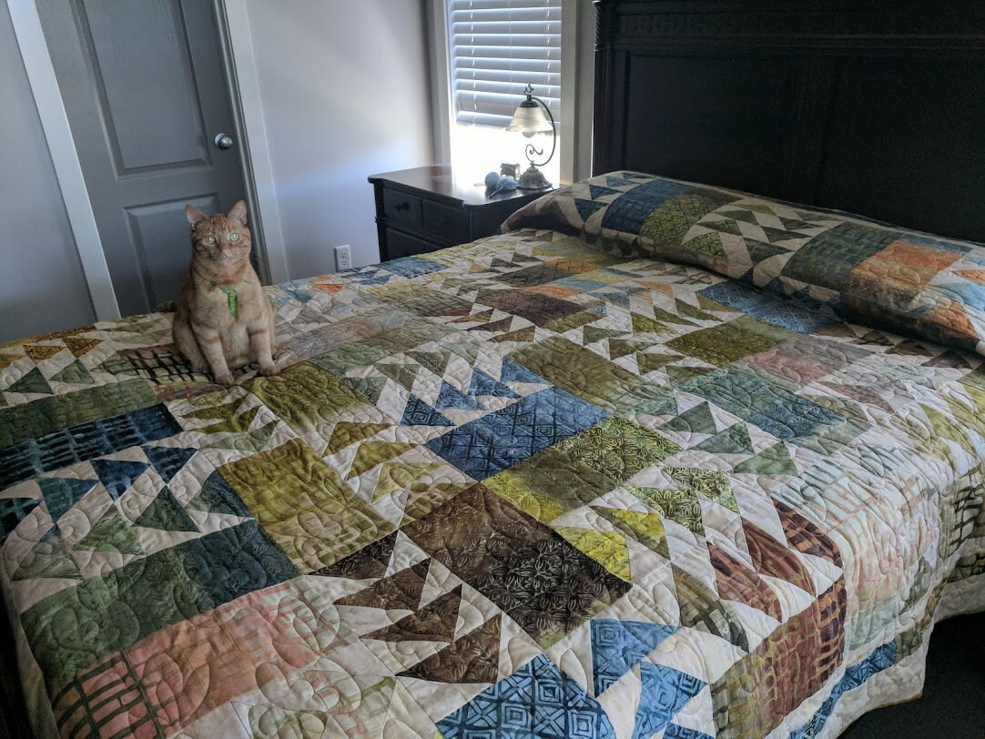 Rush Hour Quilt Pattern Batiks Timeless Treasures - Etsy