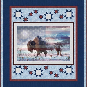 Promise of Freedom, PDF Quilt Pattern, Quilt of Valor, Hoffman, the ...