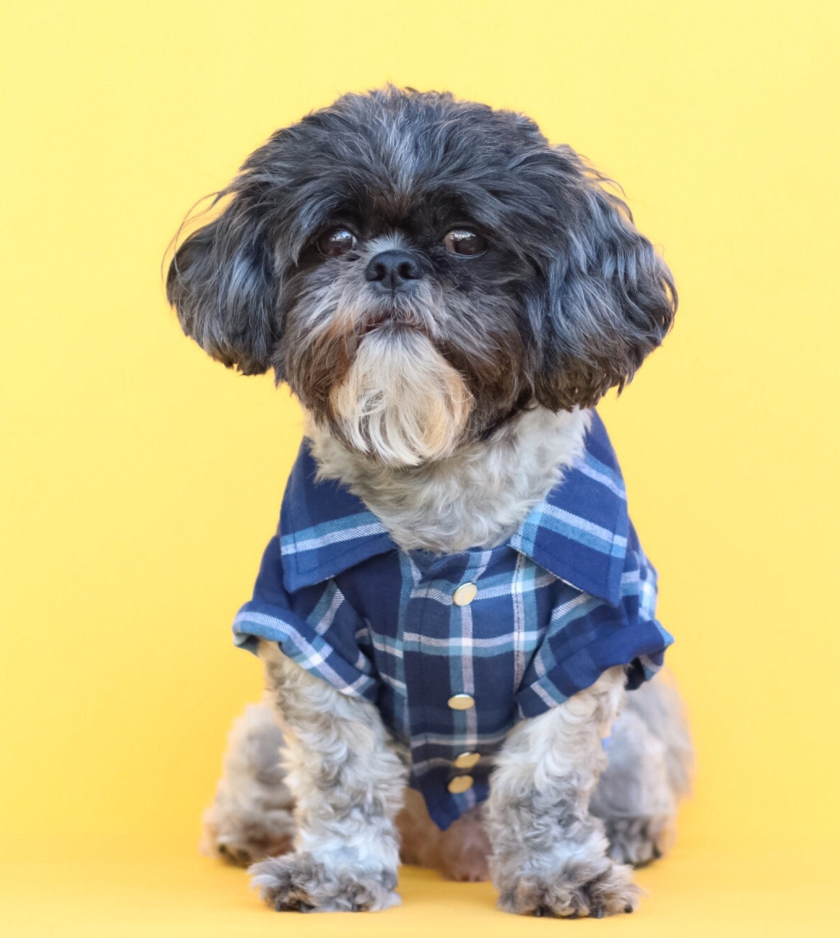 Dog Shirt Dog Clothes Dog Apparel Dog Shirts for Dogs | Etsy