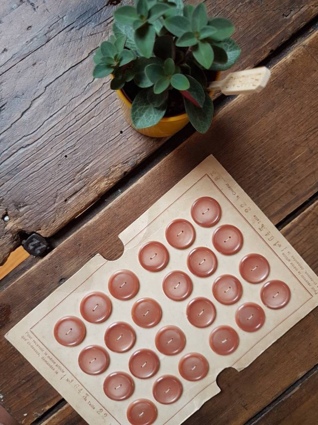 Vintage 24-button Plank - Light Brown Color - 60's Buttons - Ideal for ...