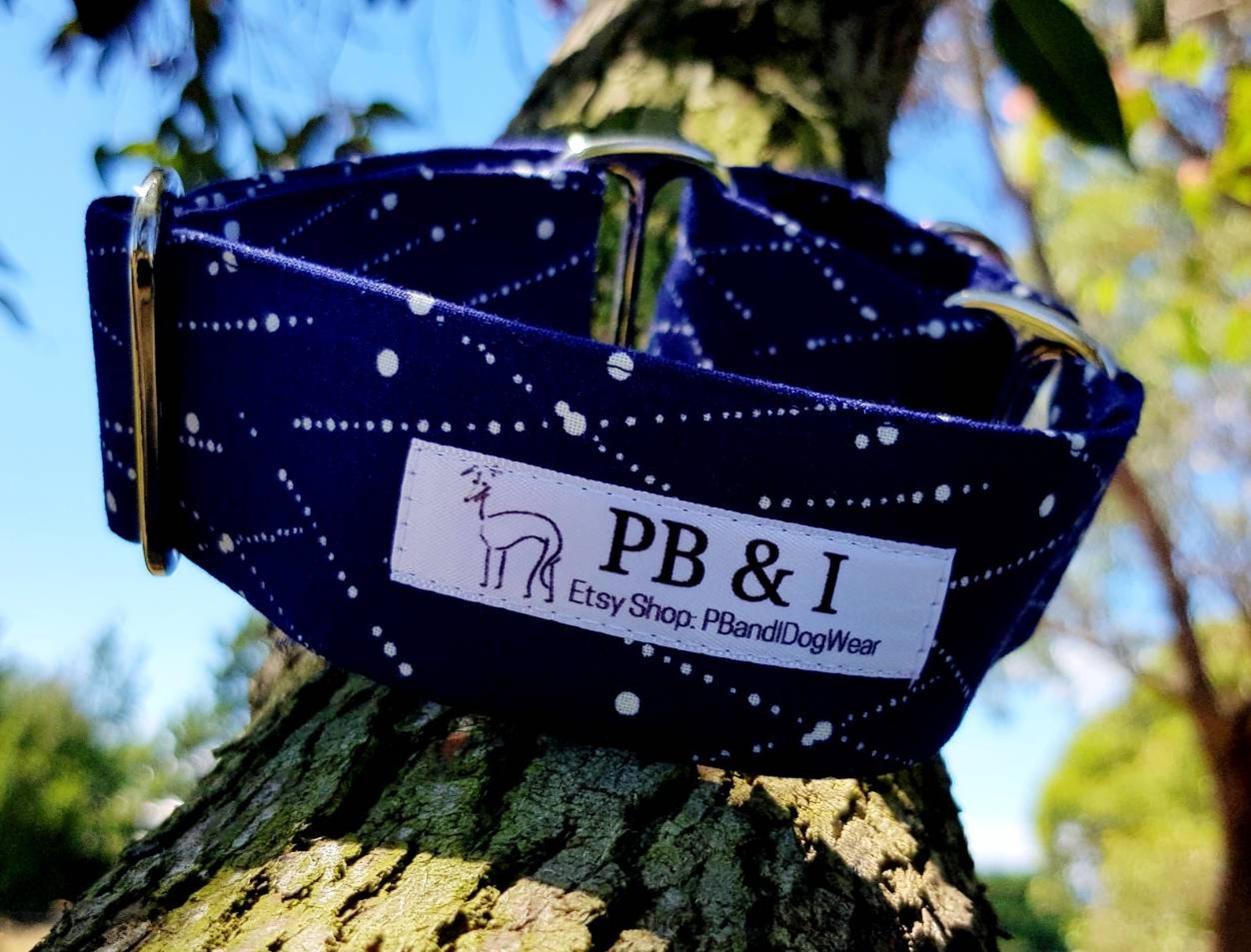 Martingale Collar Sighthound Collar Custom Dog Collar | Etsy Australia