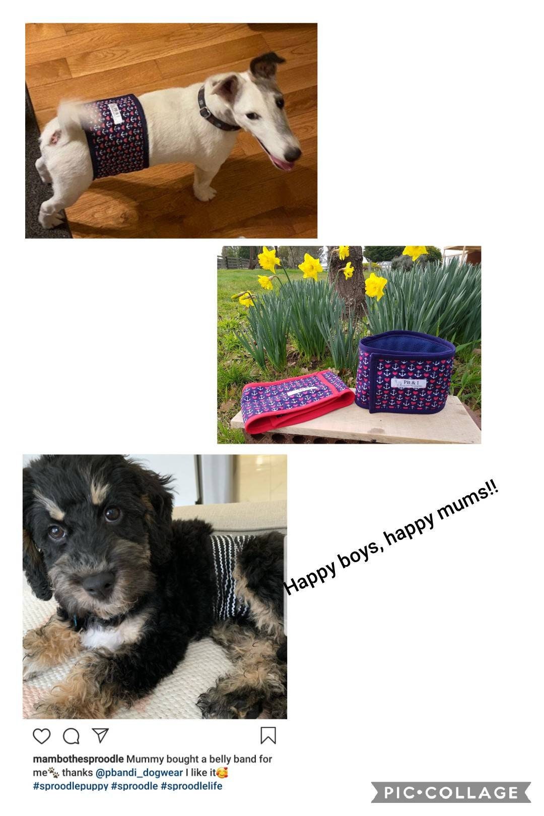 Male Belly Band / Male Wrap / Dog Belly Band / Dog Diaper / | Etsy