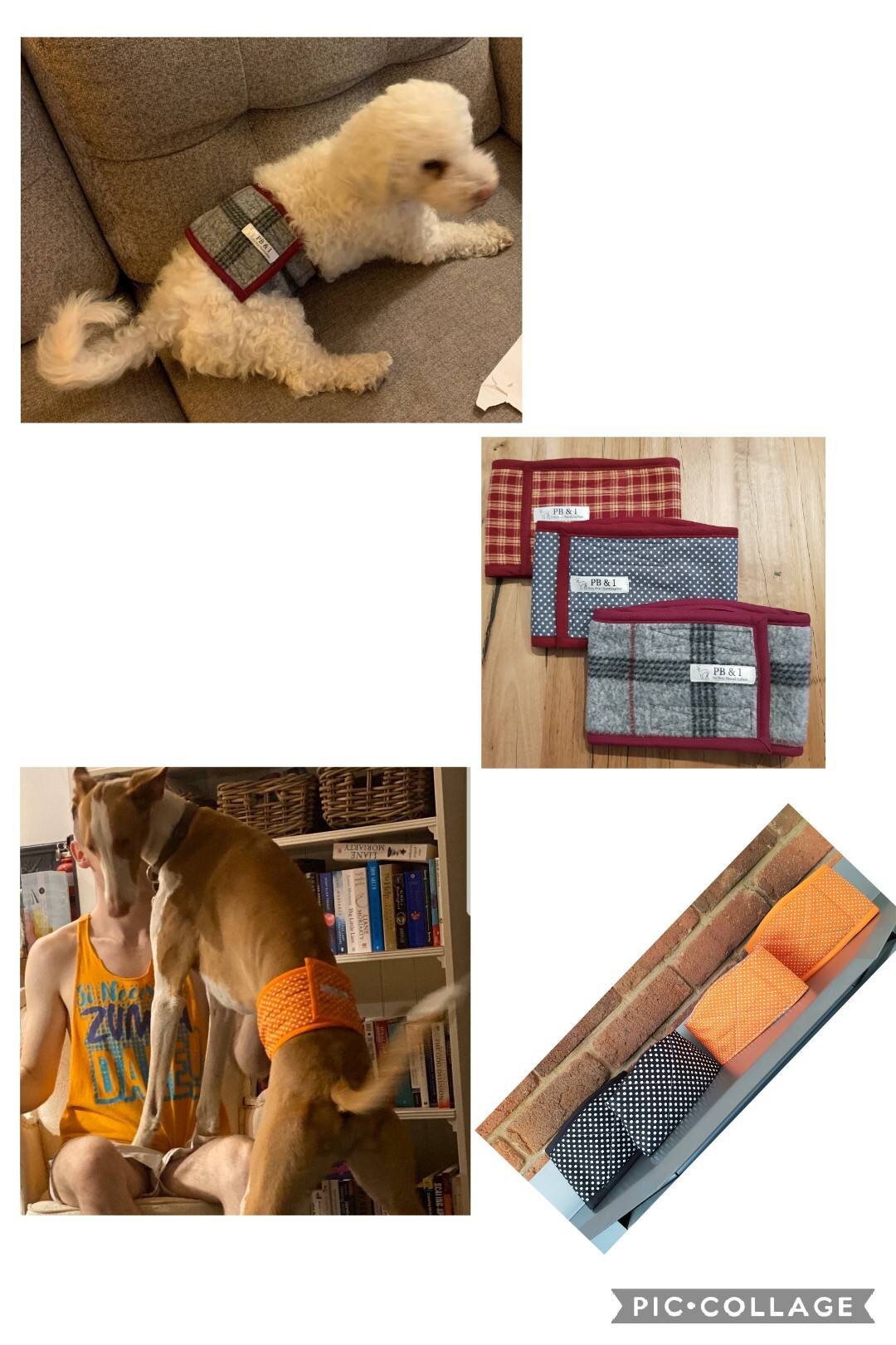 Male Belly Band / Male Wrap / Dog Belly Band / Dog Diaper / | Etsy