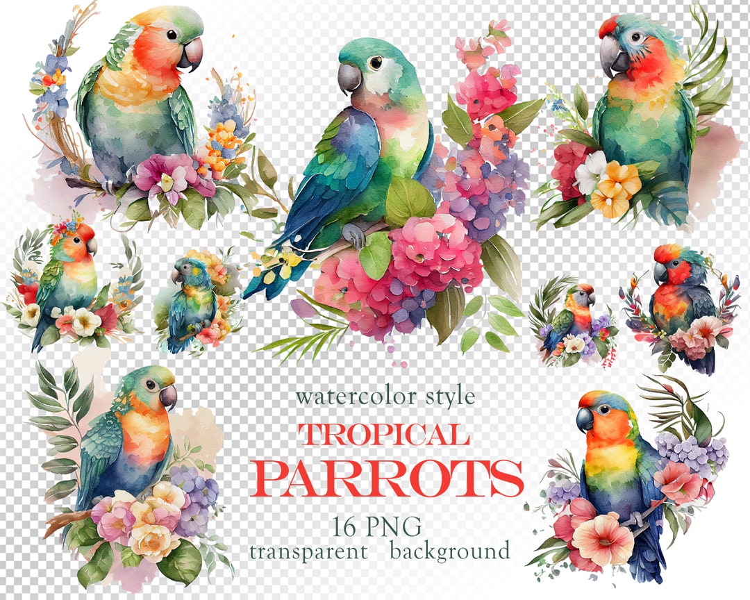 Parrots PNG, Tropical Birds on a Flowers Branch Clip Art Set ...